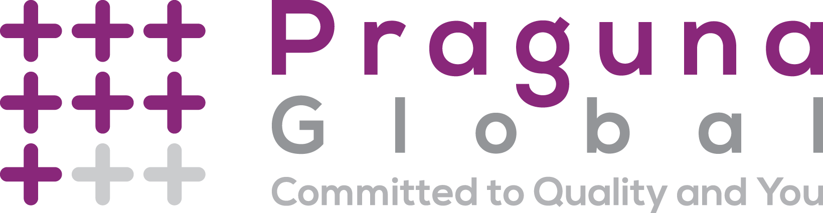 Information Technology | Praguna Global